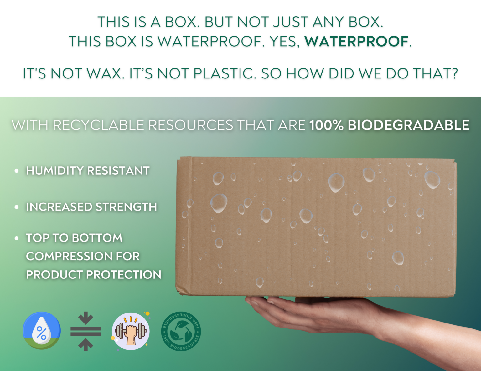 Green Box Group